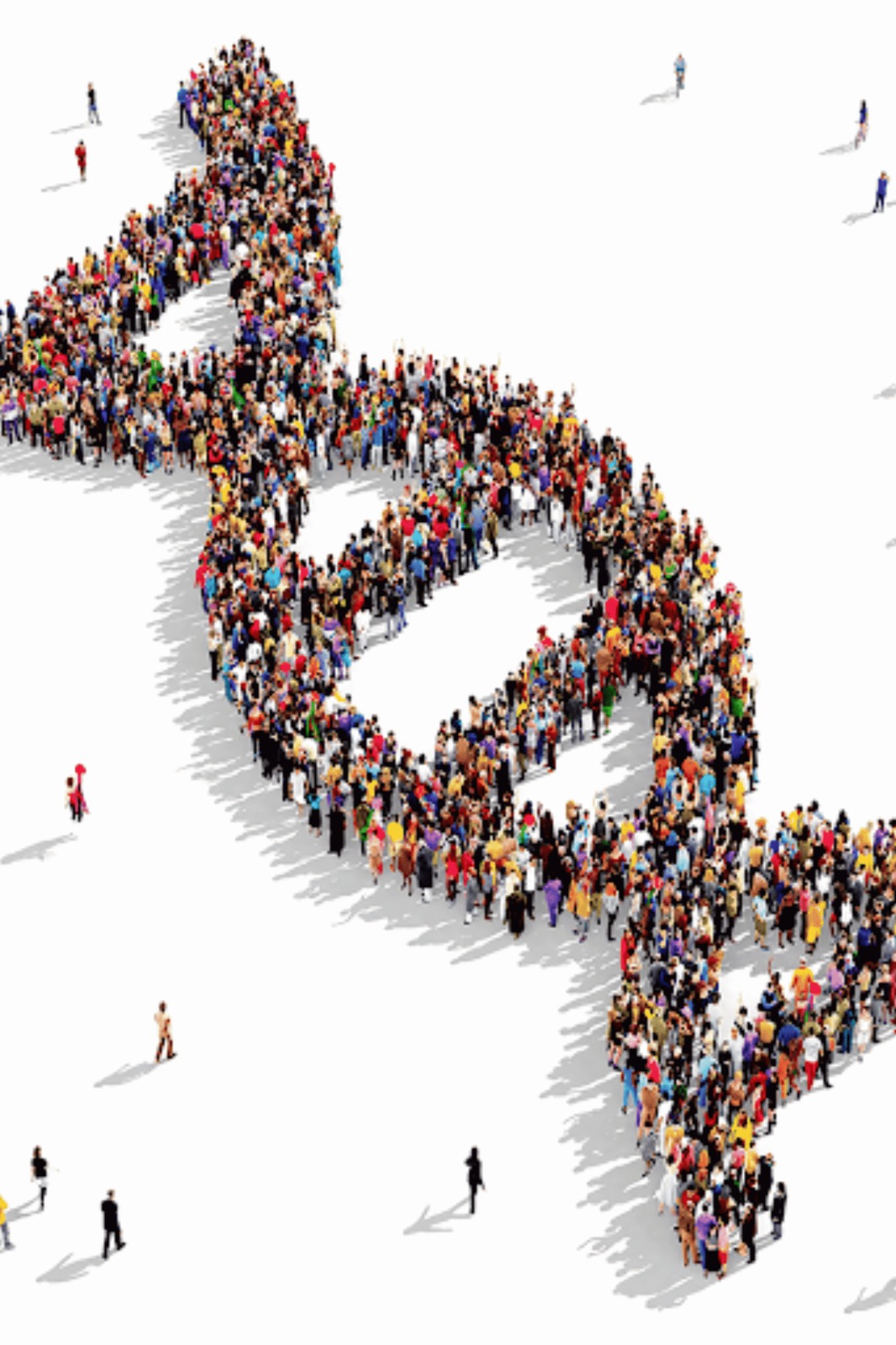 Temitope's Portfolio